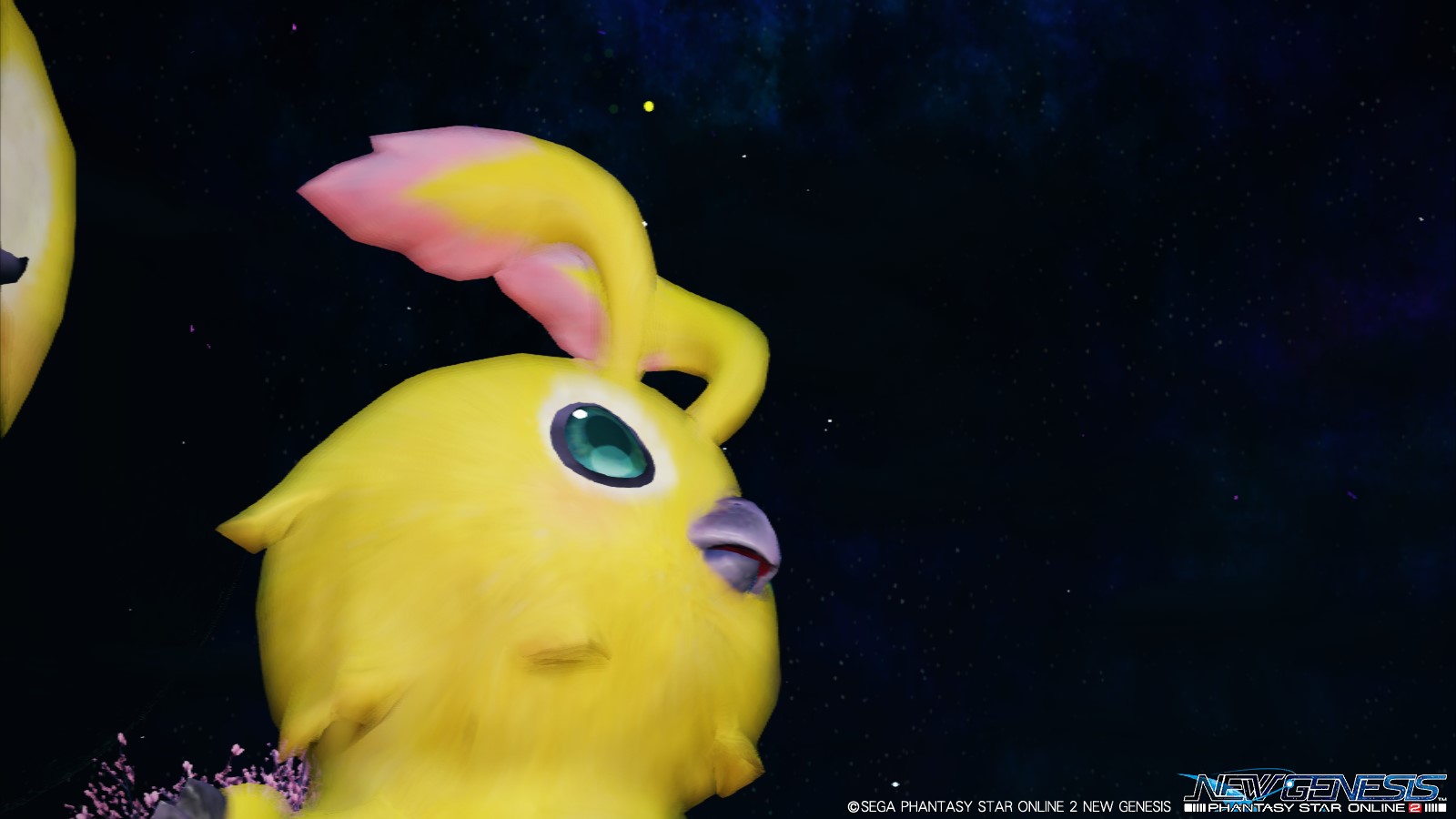 [PSO2:NGS] ラッピー写真集 : イリュゲー限界キャラメイクブログ