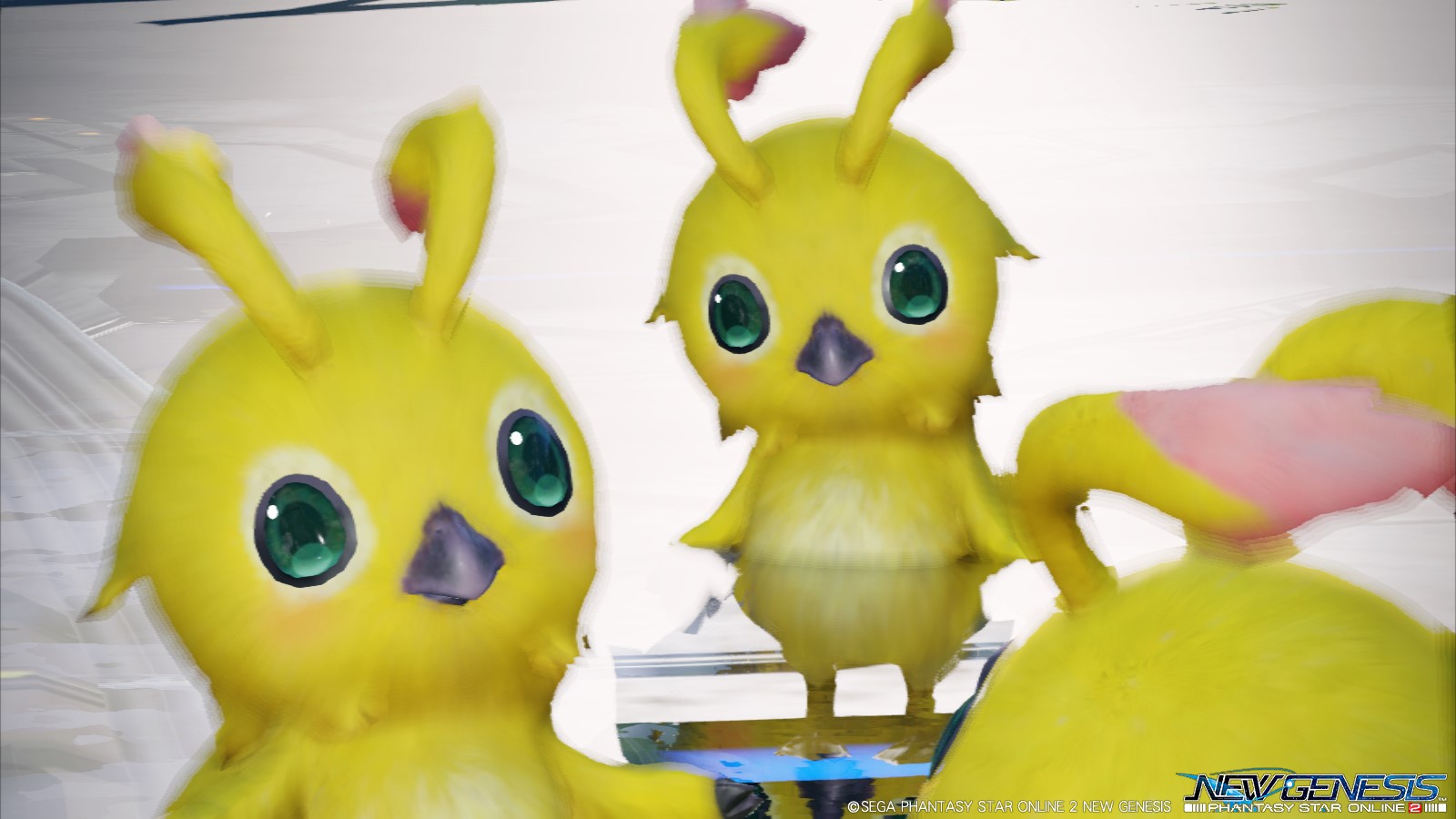 [PSO2:NGS] ラッピー写真集 : イリュゲー限界キャラメイクブログ