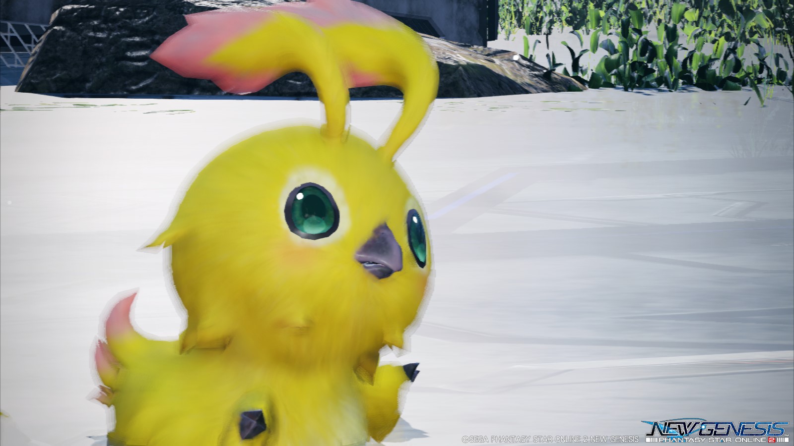 [PSO2:NGS] ラッピー写真集 : イリュゲー限界キャラメイクブログ