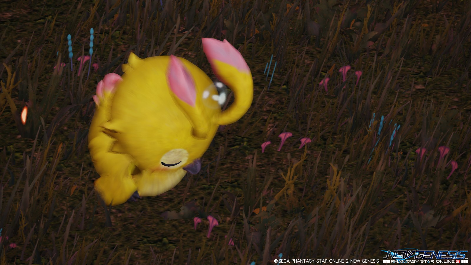 [PSO2:NGS] ラッピー写真集 : イリュゲー限界キャラメイクブログ