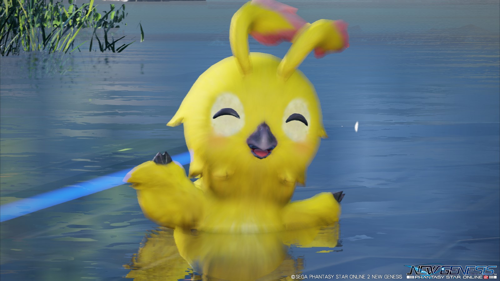 [PSO2:NGS] ラッピー写真集 : イリュゲー限界キャラメイクブログ