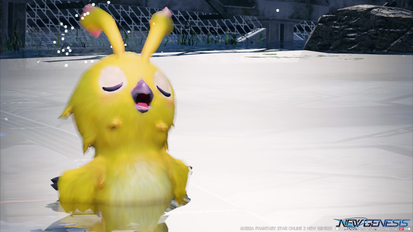 [PSO2:NGS] ラッピー写真集 : イリュゲー限界キャラメイクブログ