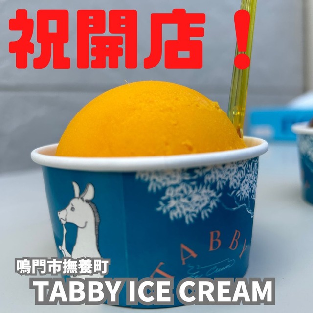 祝開店！TABBY ICE CREAM : 徳島パンとスイーツと♬