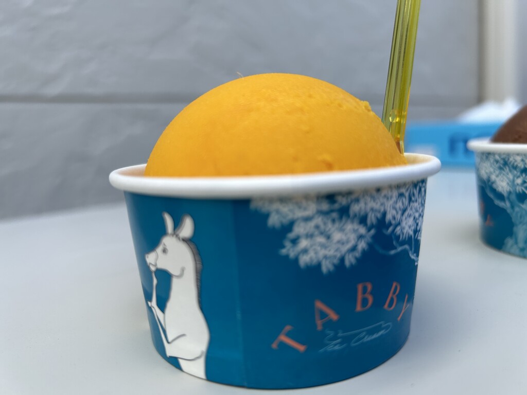 祝開店！TABBY ICE CREAM : 徳島パンとスイーツと♬