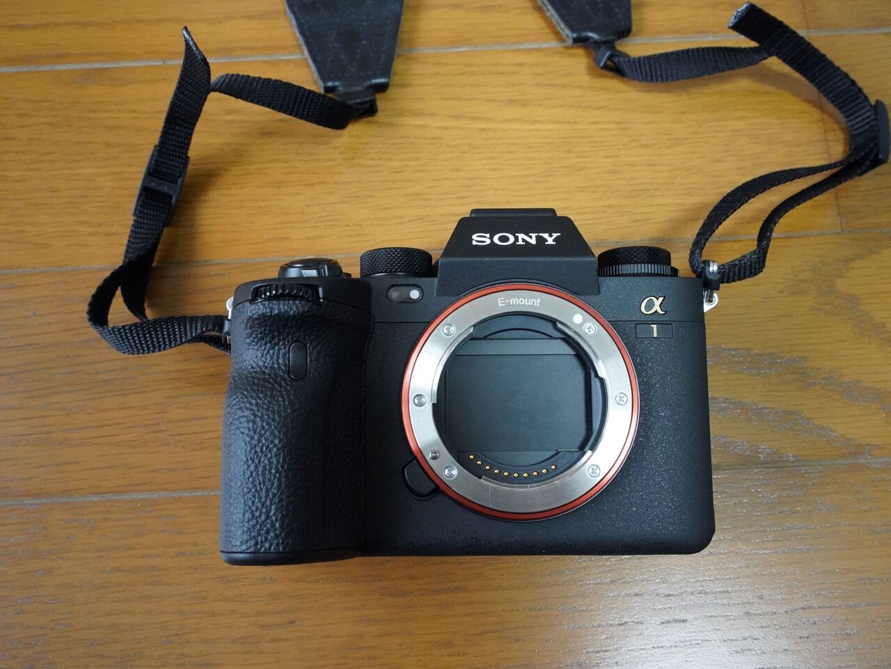 SONYフラッグシップカメラ、α1購入記 : 男ひとり旅の美学 SONYフラッグシップカメラ、α1購入記 : 男ひとり旅の美学