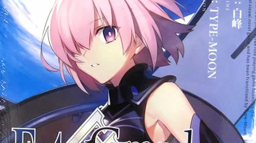 Fate/Grand Order -mortalis:stella-1巻 「マシュ中心に再構成したFGOコミカライズ」 : アキバBlog