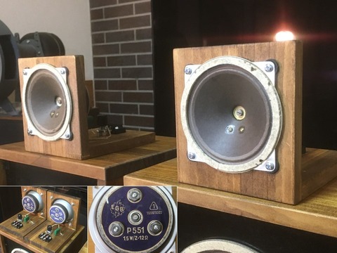 東独 EGB/RFT レア！ ビンテージ センターダンパー アドオンツィータ P551 システム ペア！! : 「アトリエHAL1953」 の ...