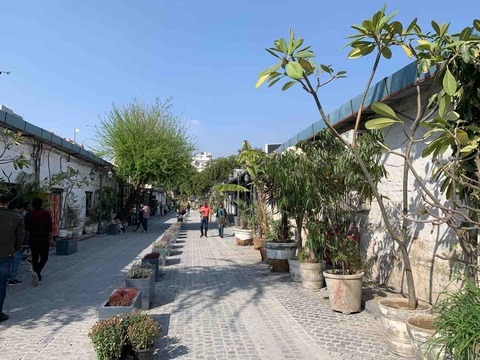 ニューデリーのお洒落なスポット Dhan Mill Compound : 旅人curiosity