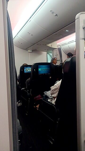 JL36便 B787-9 シンガポールー羽田 エコノミー搭乗記/朝焼けや富士山が綺麗に見えました Sep.'24 : JUST A JOURNEY