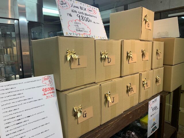 カブトクワガタ★GLOBAL