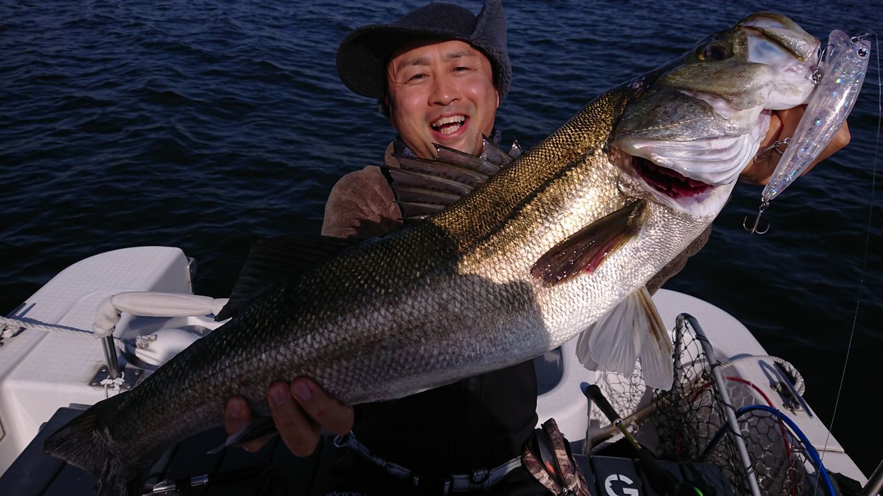 11月17日釣果情報！！ : TOKYOBAY FISHING GUIDE SERVICE Glory(グローリーフィッシング)