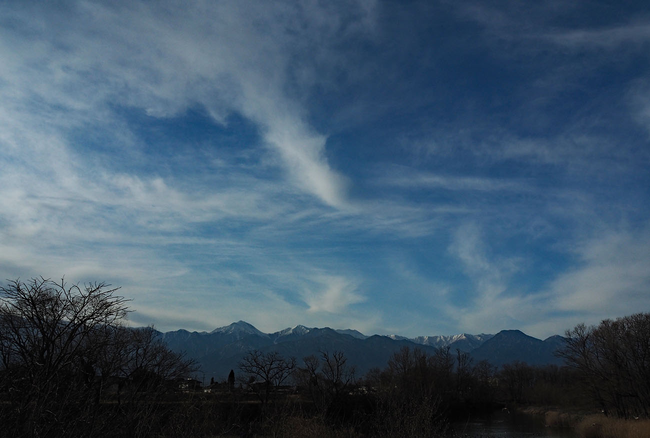 Raspberry Bush II : 安曇野 初冬 13 - Azumino in early winter