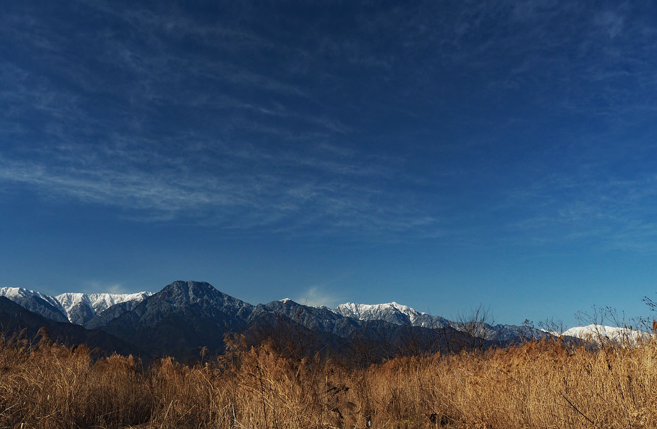 Raspberry Bush II : 安曇野 初冬 8 - Azumino in early winter