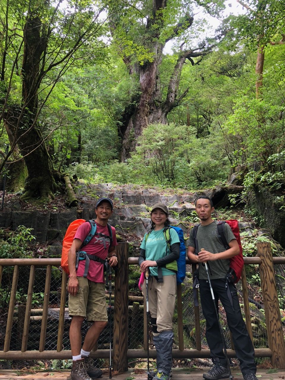 旅に参加した人の声 : 屋久島を自由に旅する GREEN MOUNT
