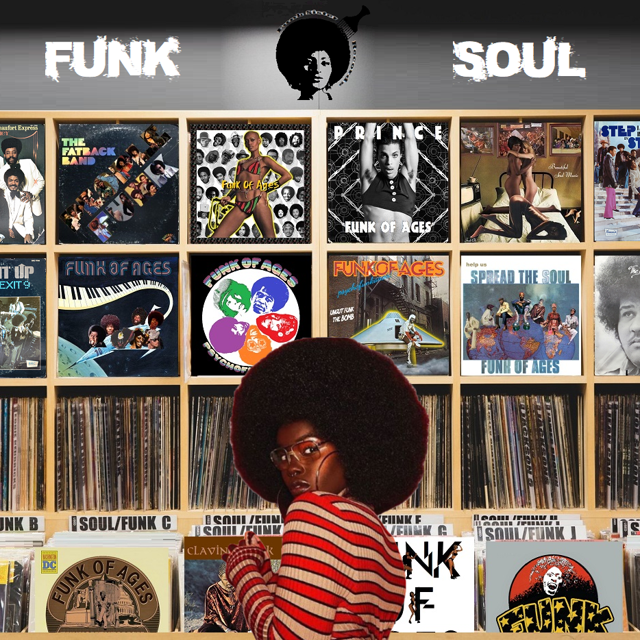 1-800 New Funk : FUNK OF AGES