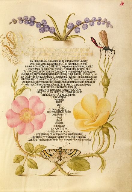 古書 : gyu's shop blog