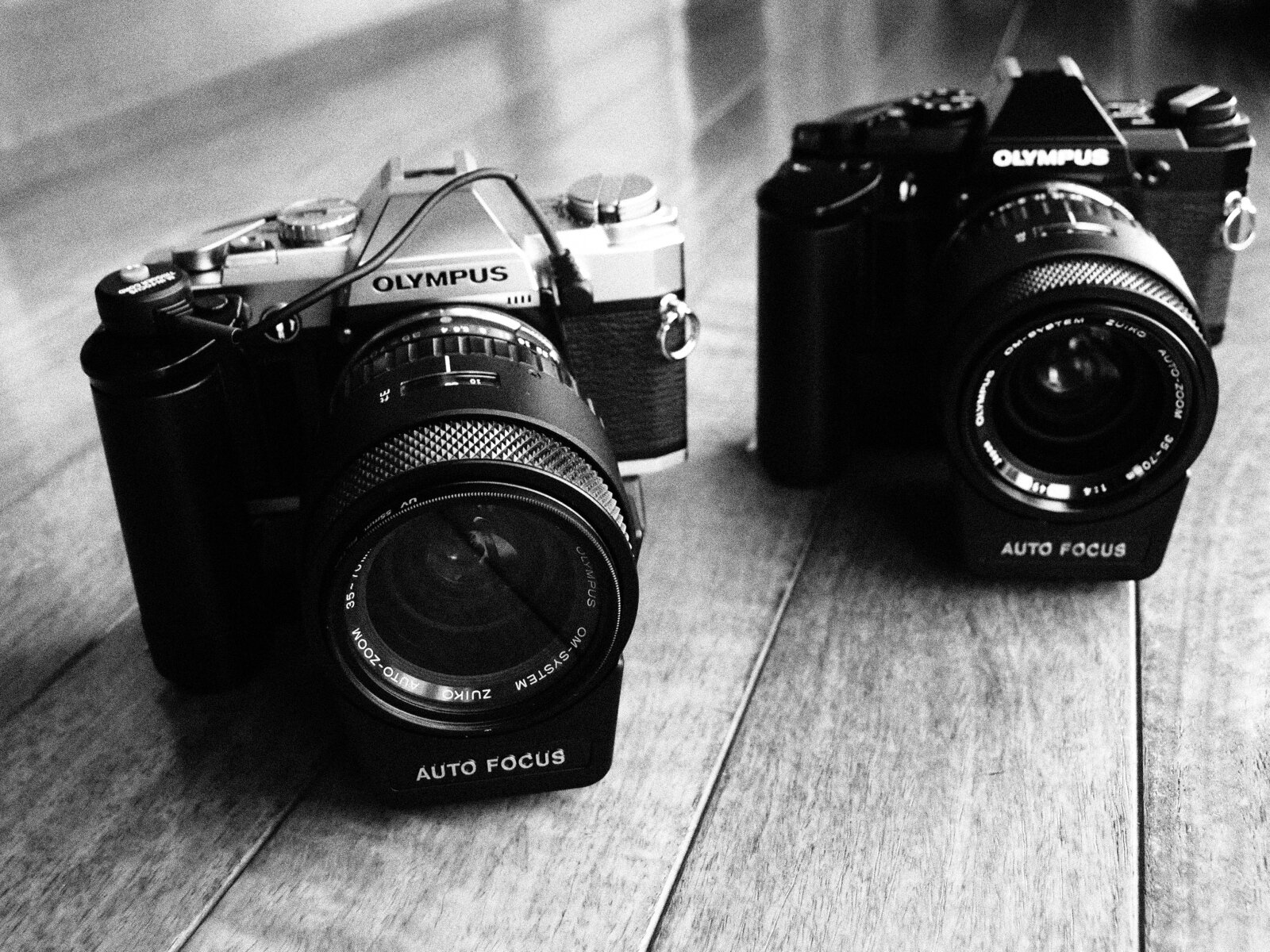 OLYMPUS OM30 + AF : E-DAYS+α