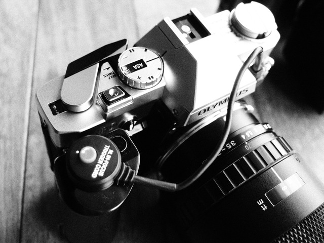 OLYMPUS OM30 + AF : E-DAYS+α