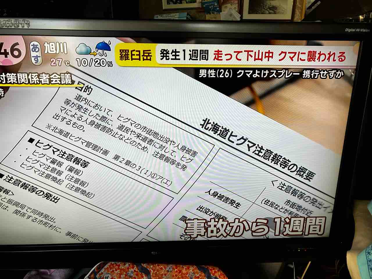 2025年08月22日 : はこだて自然倶楽部~続・風を追って〜