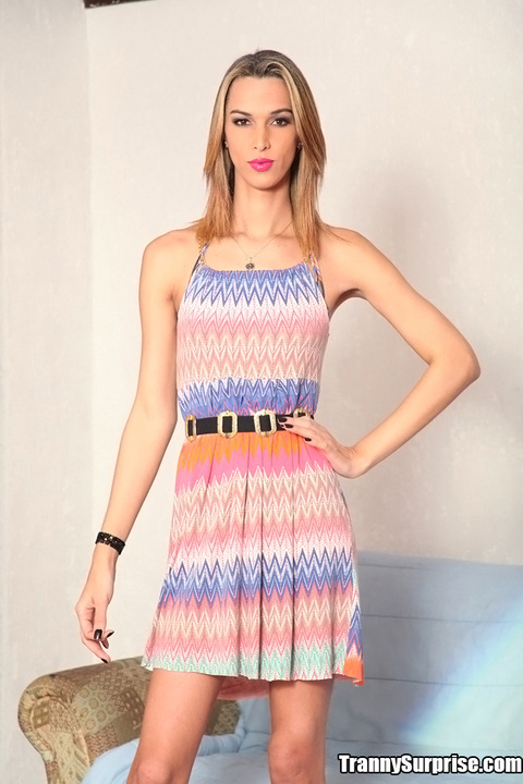 Legendary Shemale Viviane Merillo（伝説のシーメール、ヴィヴィアネ・メリロー） : ニューハーフ・女装・男の娘・体験記