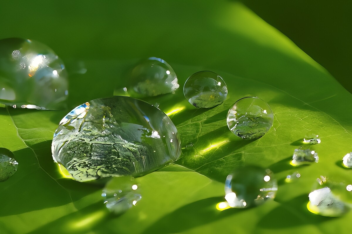 美しい雨の名残り : 湖都の四季彩