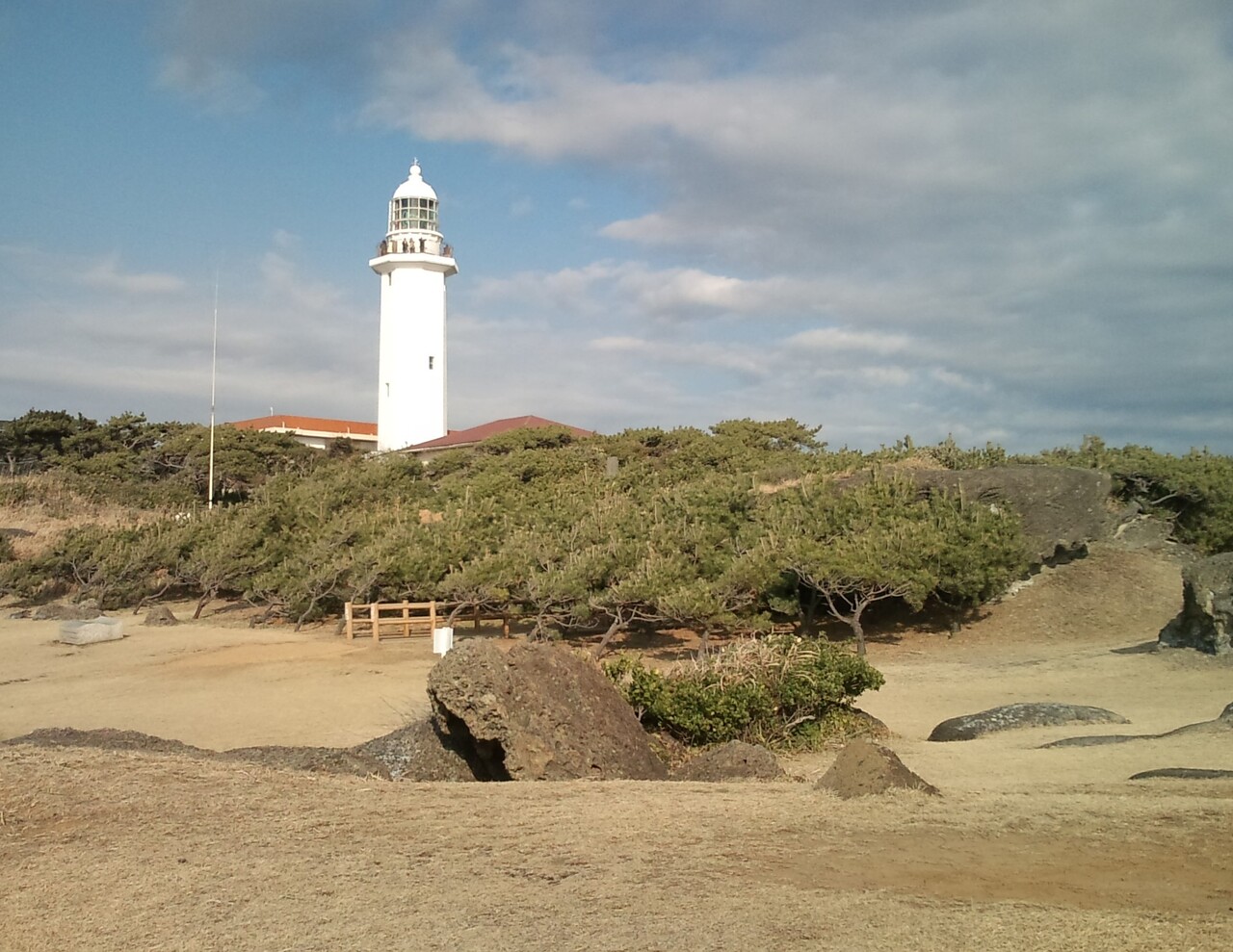 2572 戦争の現実を記録 思い浮かべる3枚の写真 - 小径を行く