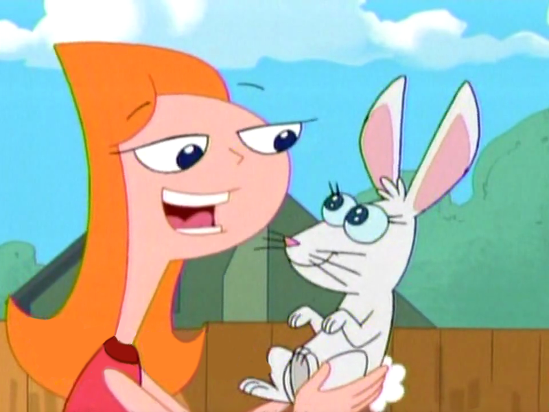 フィニアスとファーブな日々:「かわいいウサギにご用心／はじめてのスパ・デー」 - livedoor Blog（ブログ）