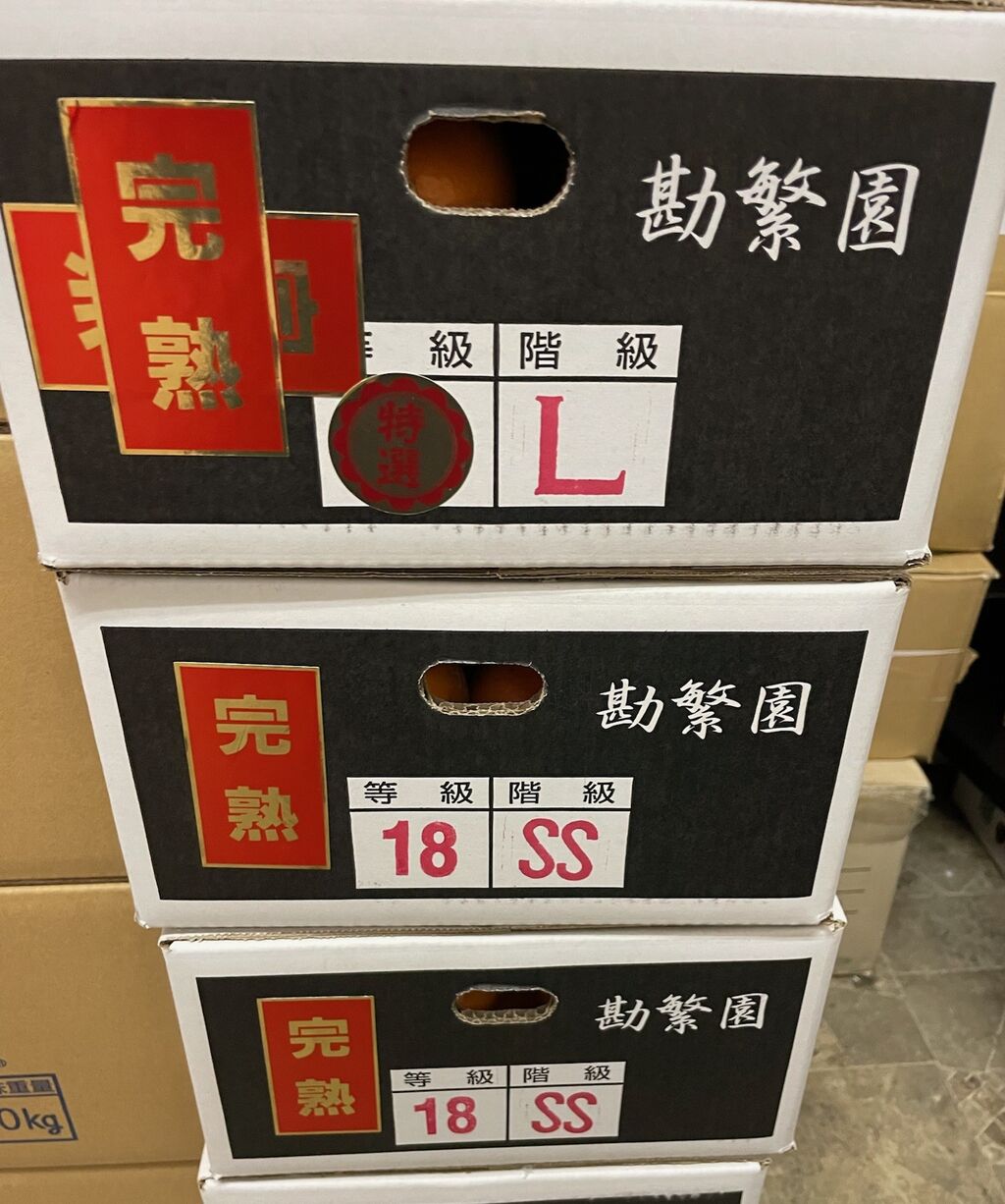 2024年01月13日 : はせがわくだもの店のブログ