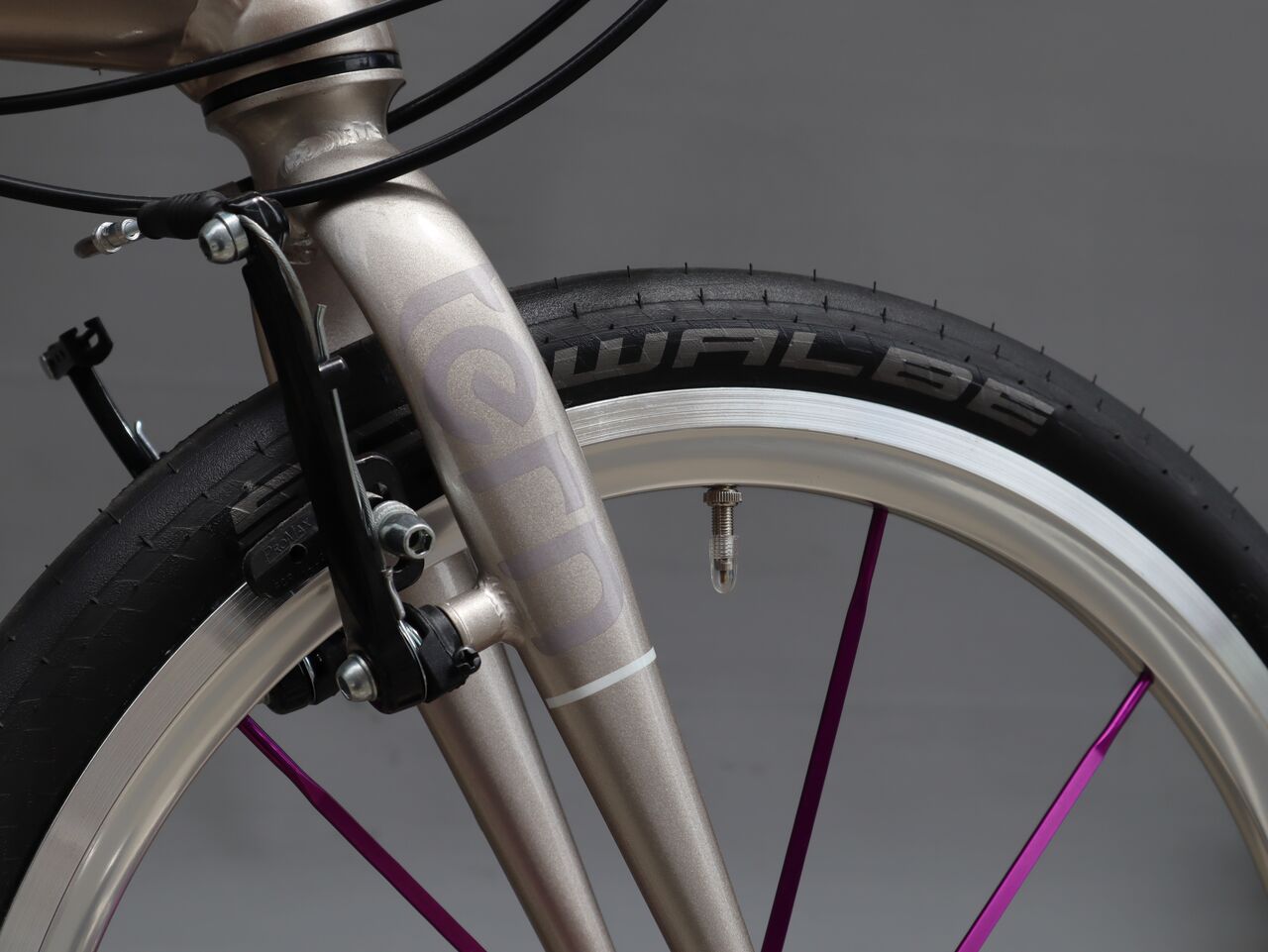 DAHON / tern 専用ホイール JP industry(その11)【橋輪Blog DAHON / tern 専用ホイール JP industry(その11)【橋輪Blog