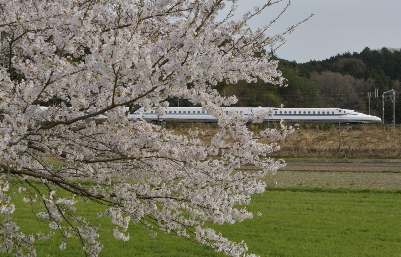 新幹線の撮影から No.760 【 N700S J50編成 試運転③ 】 : のぞみ係長の鉄道手帳