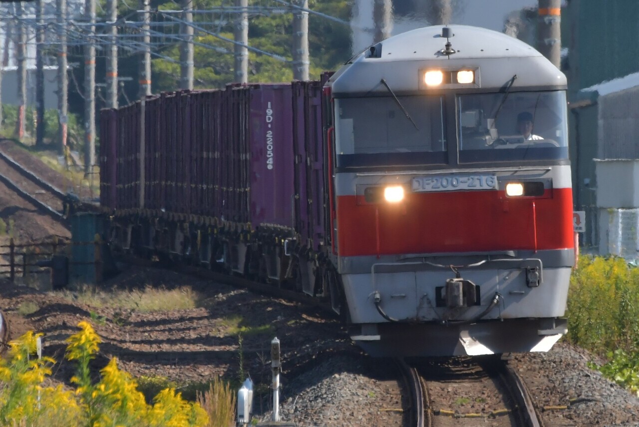 貨物列車の撮影から No.351 【 2085レ DF200-216号機 】 : のぞみ係長の鉄道手帳