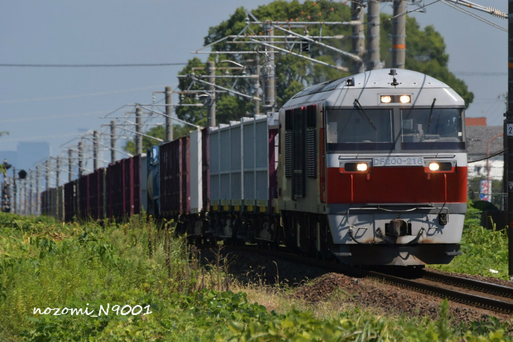 貨物列車の撮影から No.215 【 2089レ DF200-216号機 】 : のぞみ係長の鉄道手帳