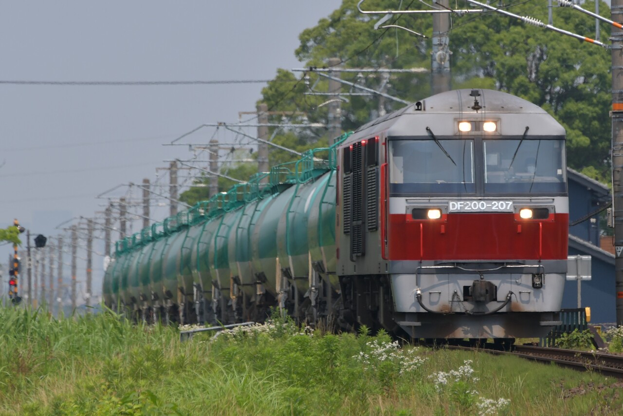 貨物列車の撮影から No.338 【 DF200昼運用 】 : のぞみ係長の鉄道手帳