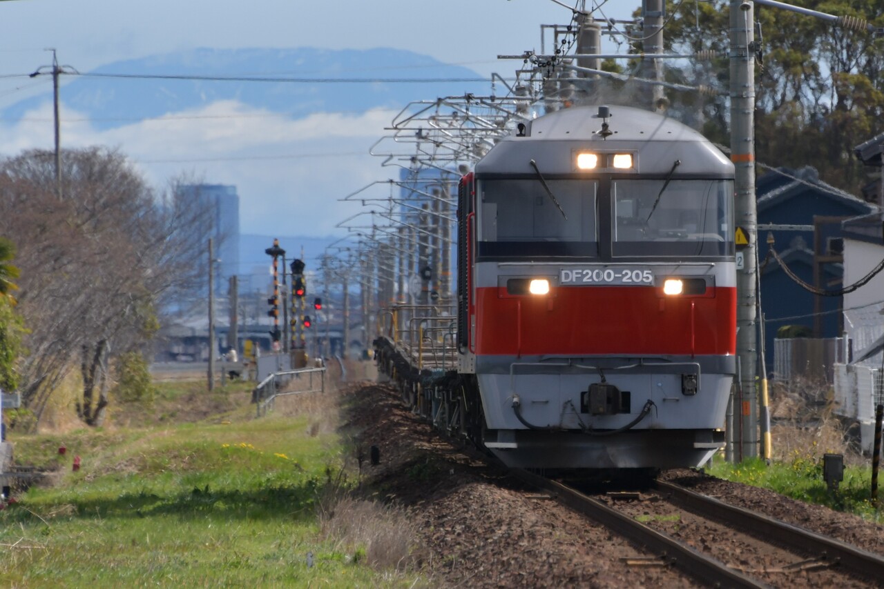 貨物列車の撮影から No.331 【 DF200-205号機の往復 】 : のぞみ係長の鉄道手帳