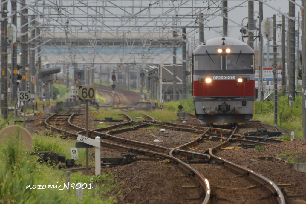 貨物列車の撮影から No.208 【 5282レ DF200-216号機 単機 】 : のぞみ係長の鉄道手帳