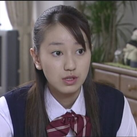 オールキャスト2時間ドラマ : ペットシッター沢口華子の事件簿（研ナオコ）ー第2作（2004年）愛犬同伴ホテル温泉におきた連続殺人事件