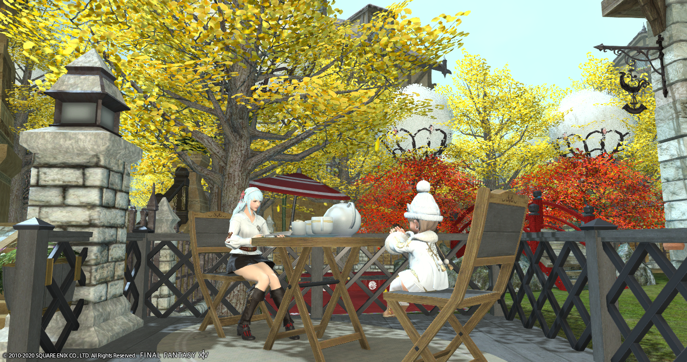 秋ですね！銀杏並木です♪ : FF14フリートライアルでも楽しいもん!