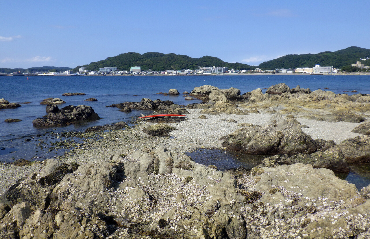 レーシングジャイブ研究会 : 気分はロングボード
