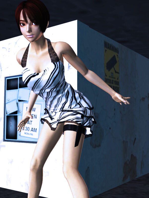 TY2-Assassin : heroineplanet