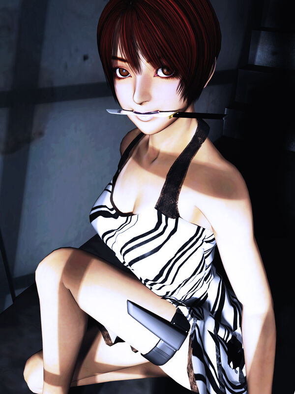 TY2-Assassin : heroineplanet