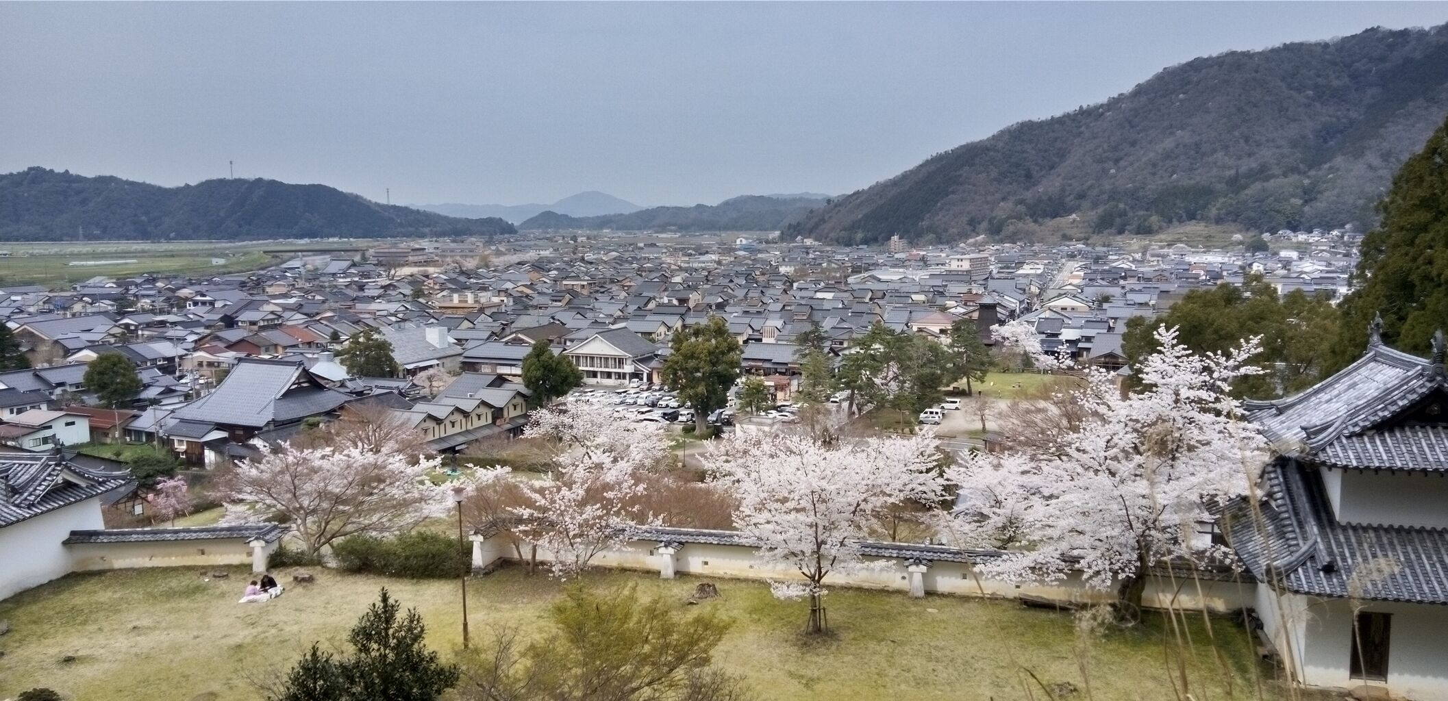 ホーリー厩舎の愛馬たち : ウインシャーガス