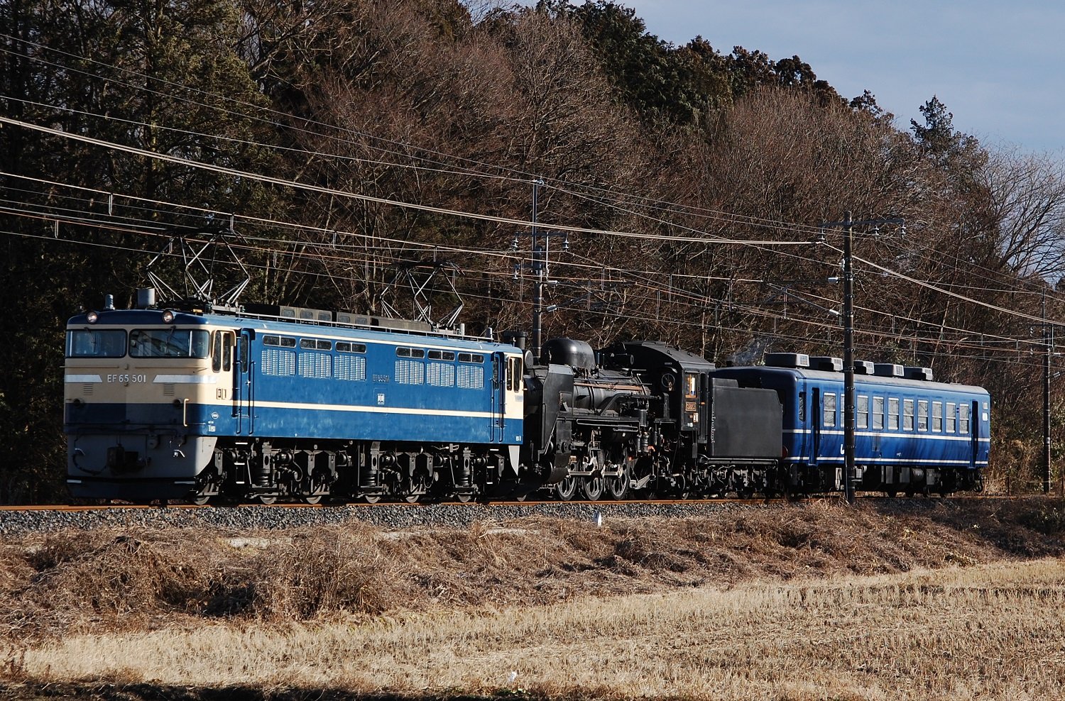 HIBARI481の撮影日記Ⅱ