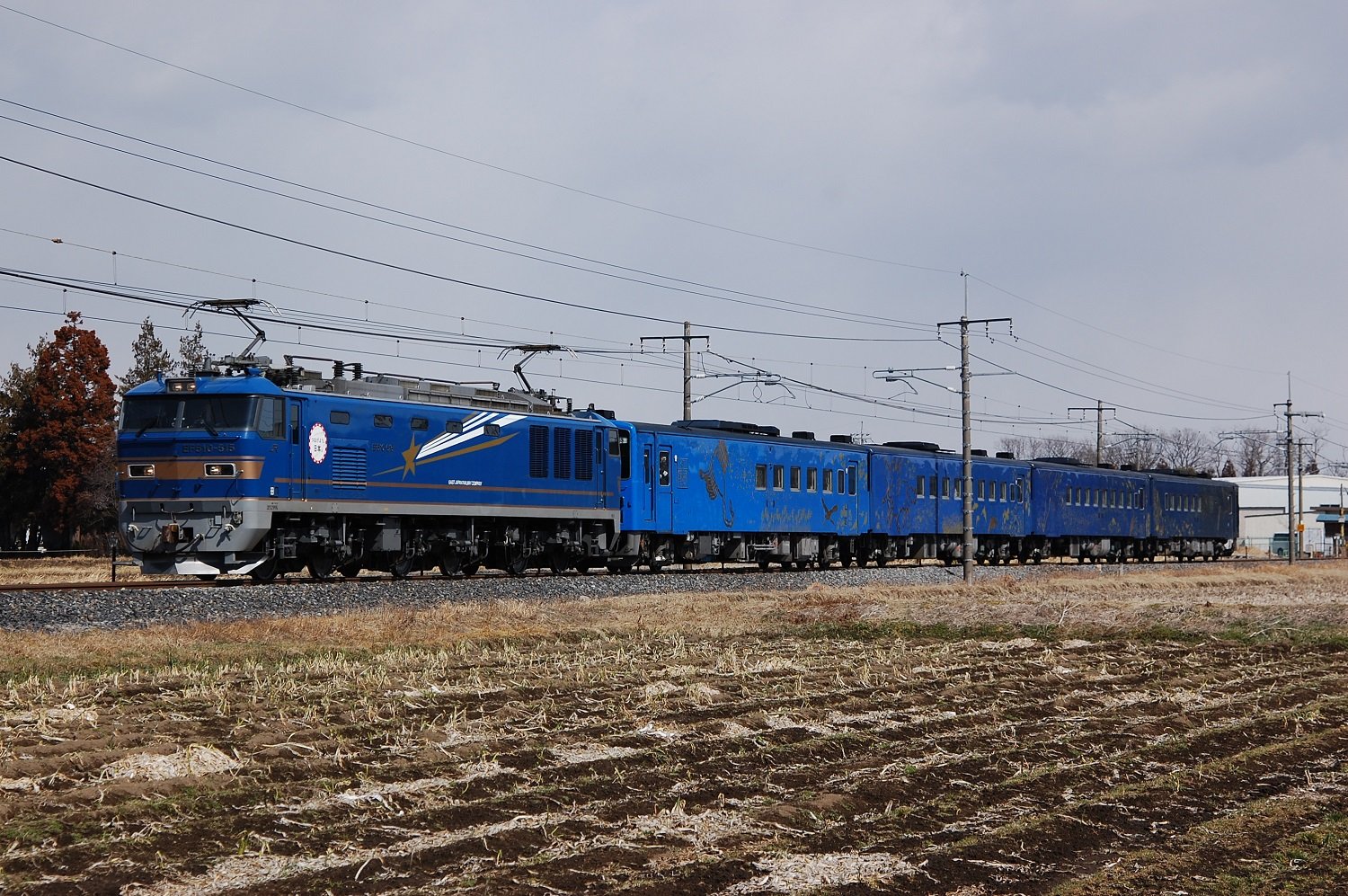 HIBARI481の撮影日記Ⅱ