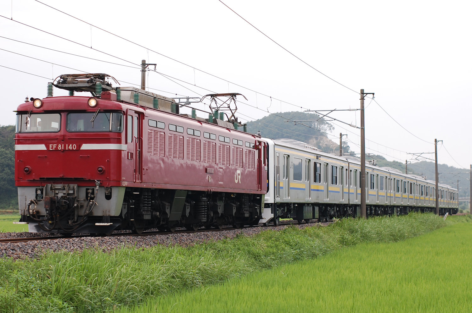 HIBARI481の撮影日記Ⅱ : 2012年08月