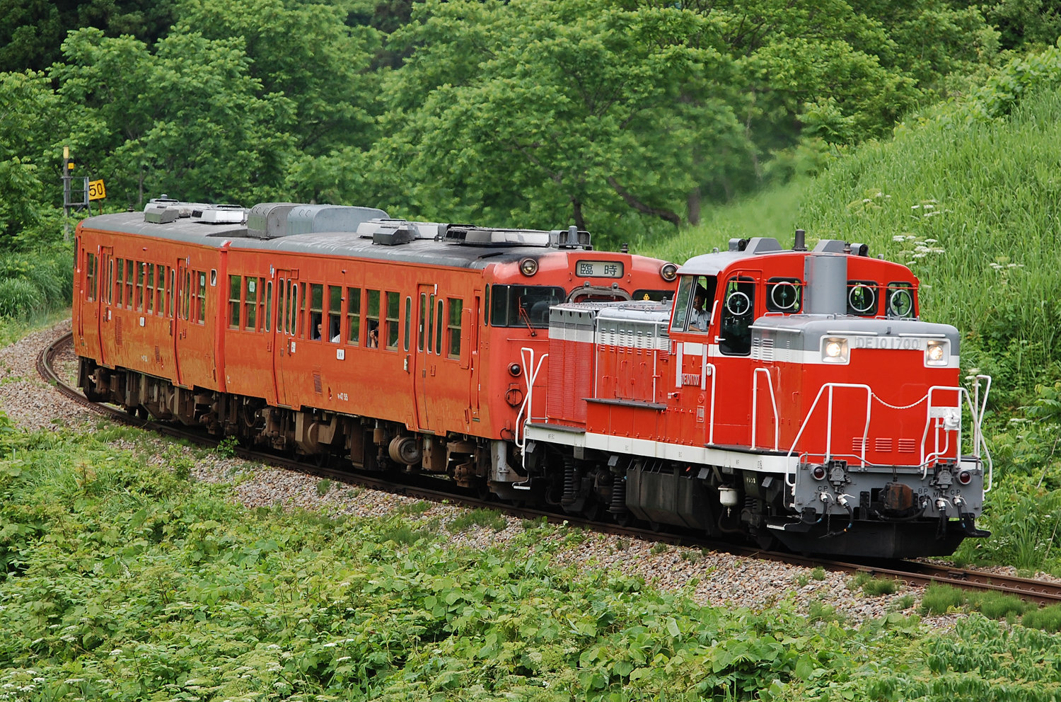 HIBARI481の撮影日記Ⅱ : DE10