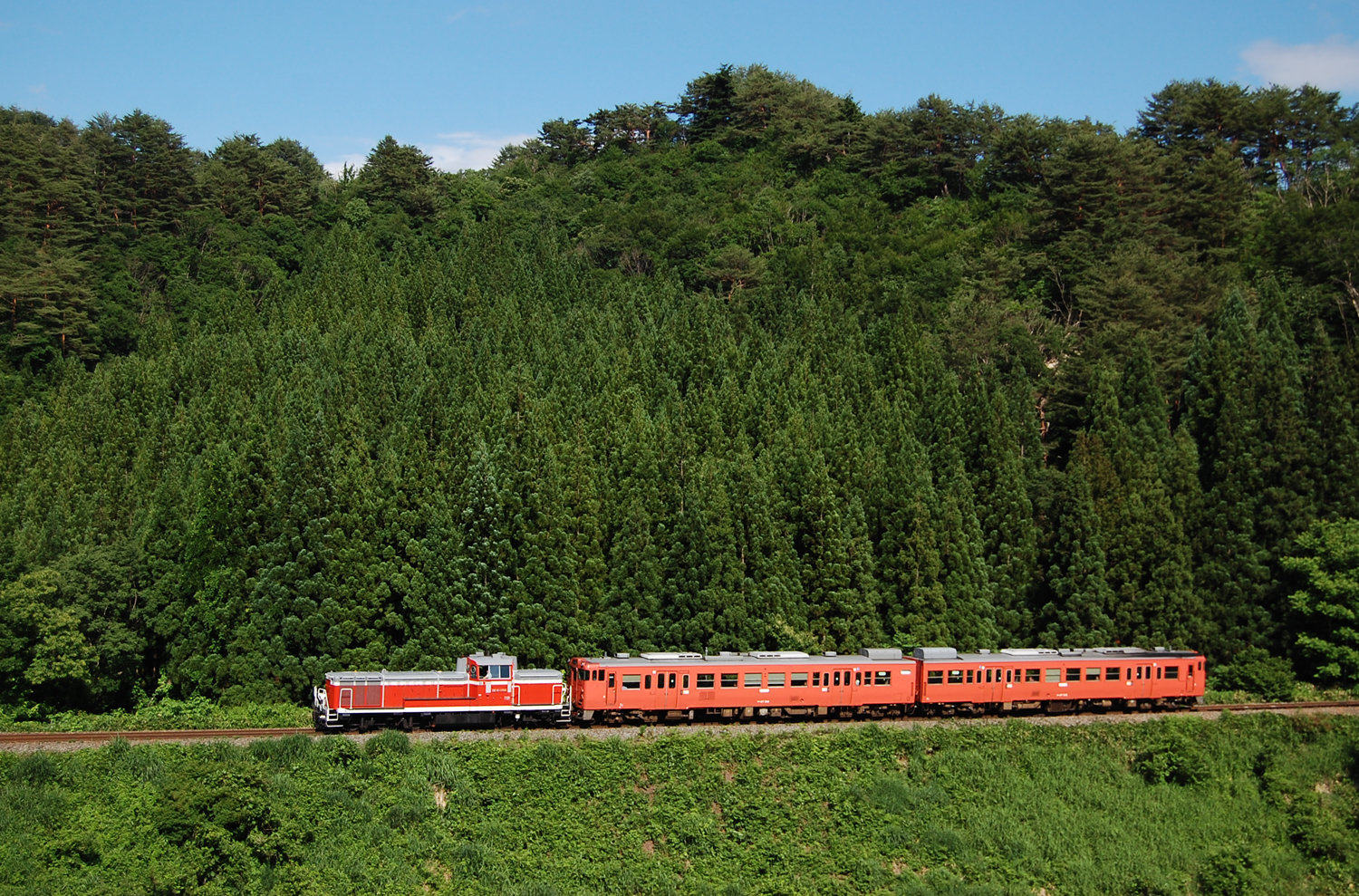 HIBARI481の撮影日記Ⅱ : DE10