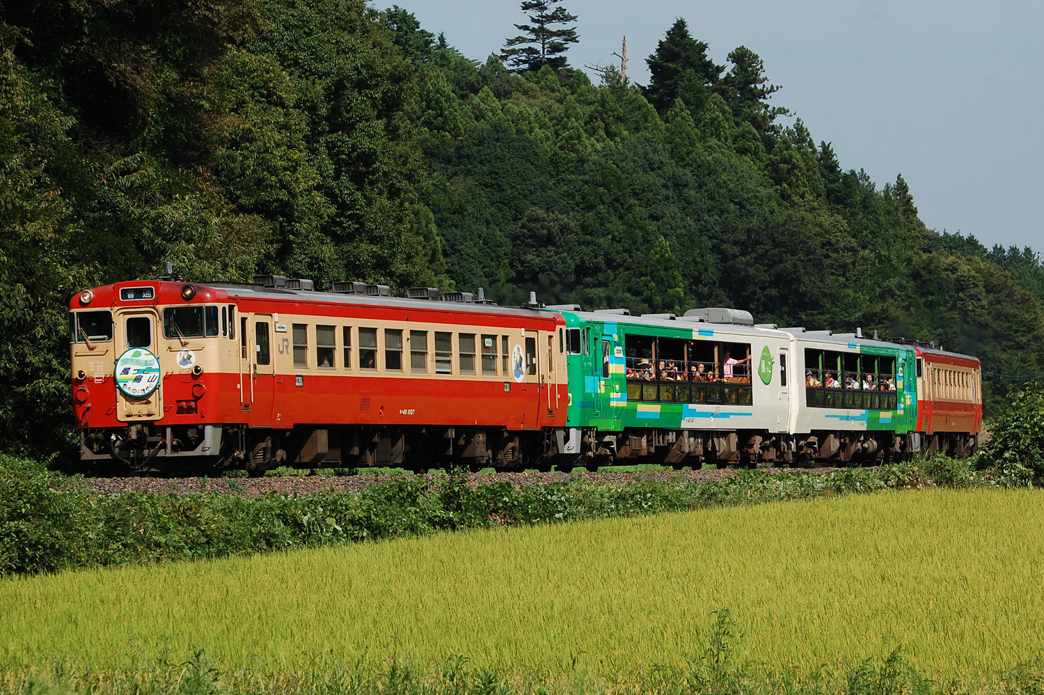 HIBARI481の撮影日記Ⅱ : 2012年08月