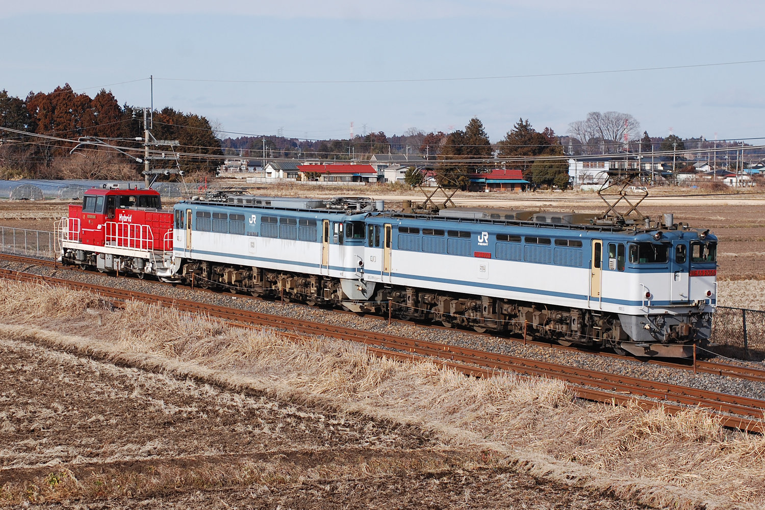 HIBARI481の撮影日記Ⅱ : EF65