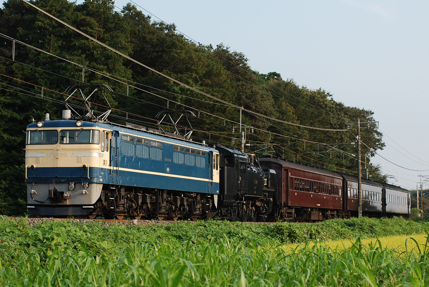 HIBARI481の撮影日記Ⅱ : EF65