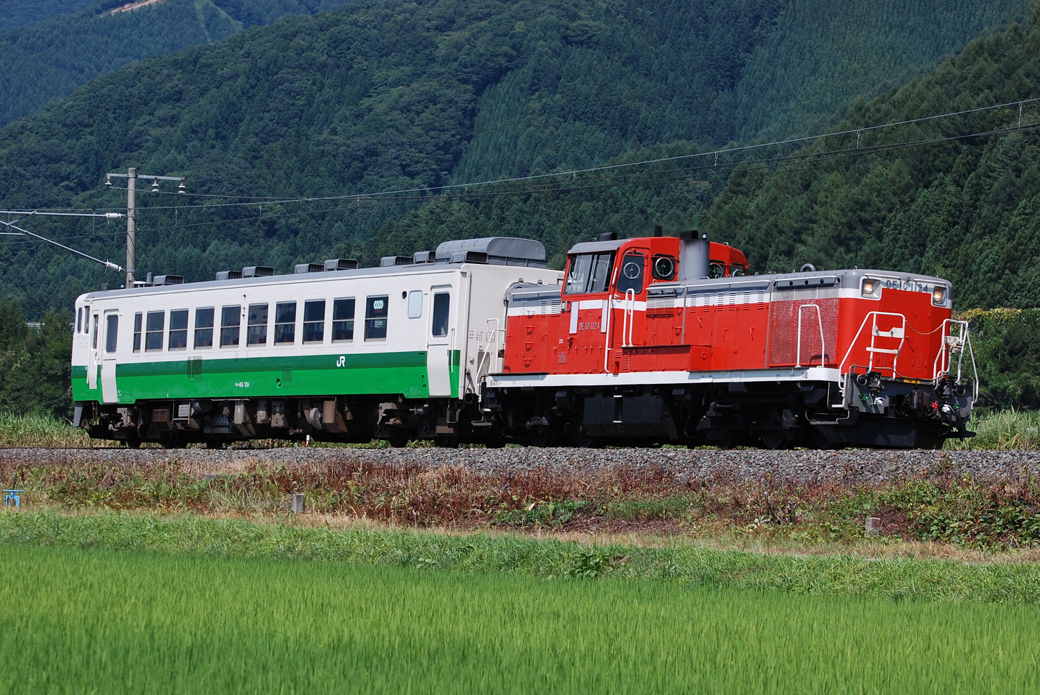 HIBARI481の撮影日記Ⅱ : DE10